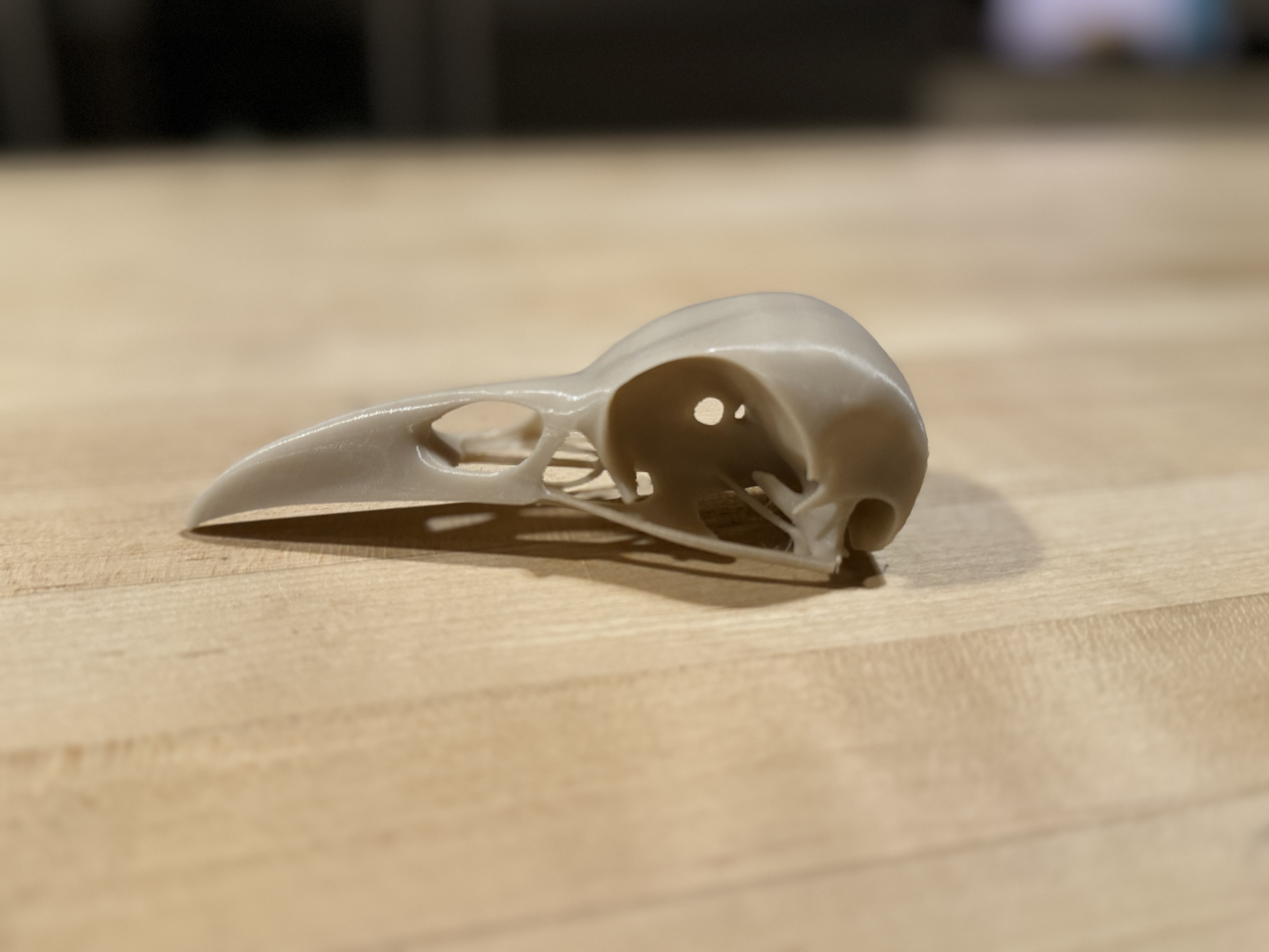 Raven Skull | Mark's Maker Space